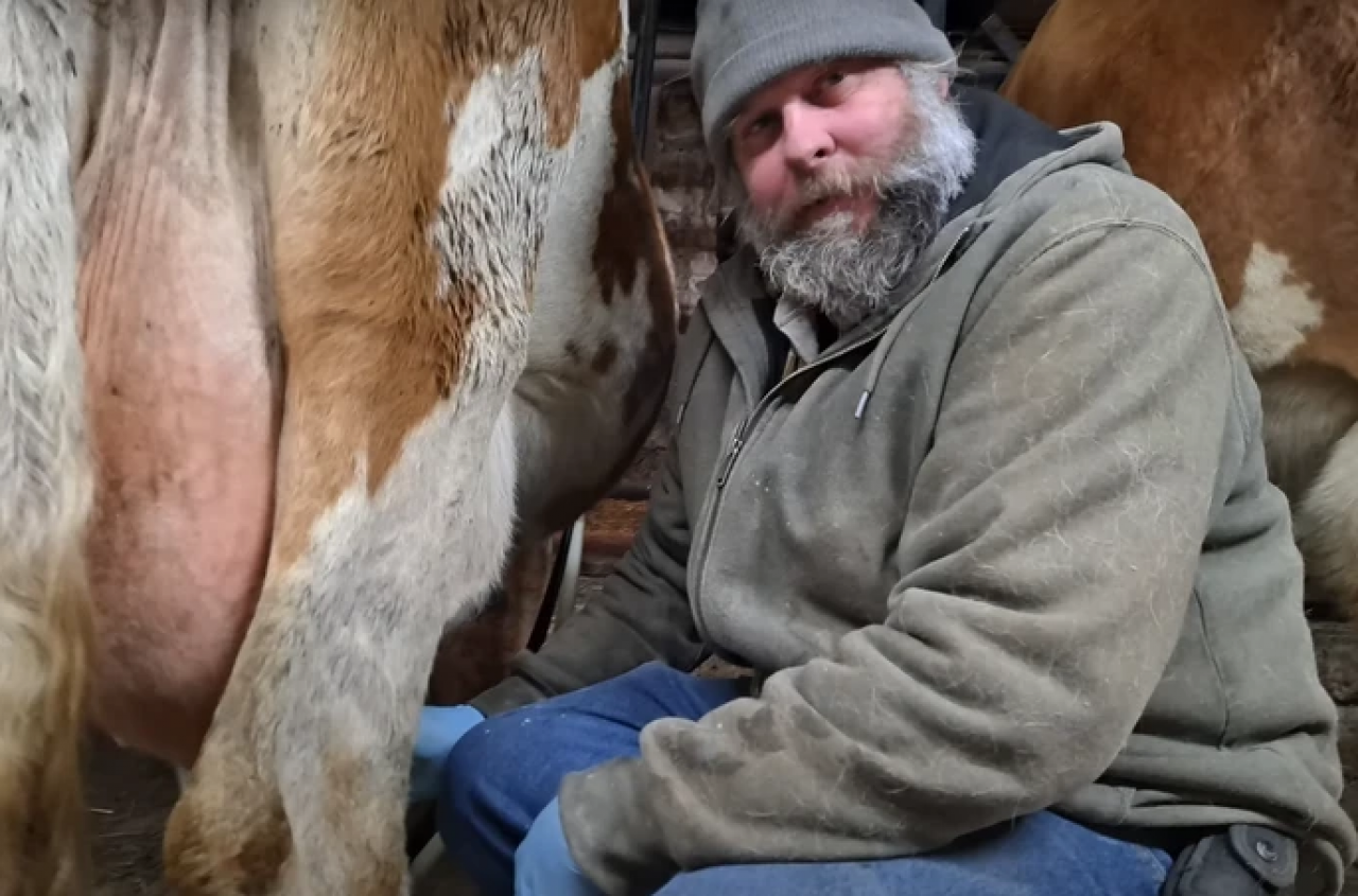 "Pusta obora" – piosenka smutnego rolnika hitem Internetu