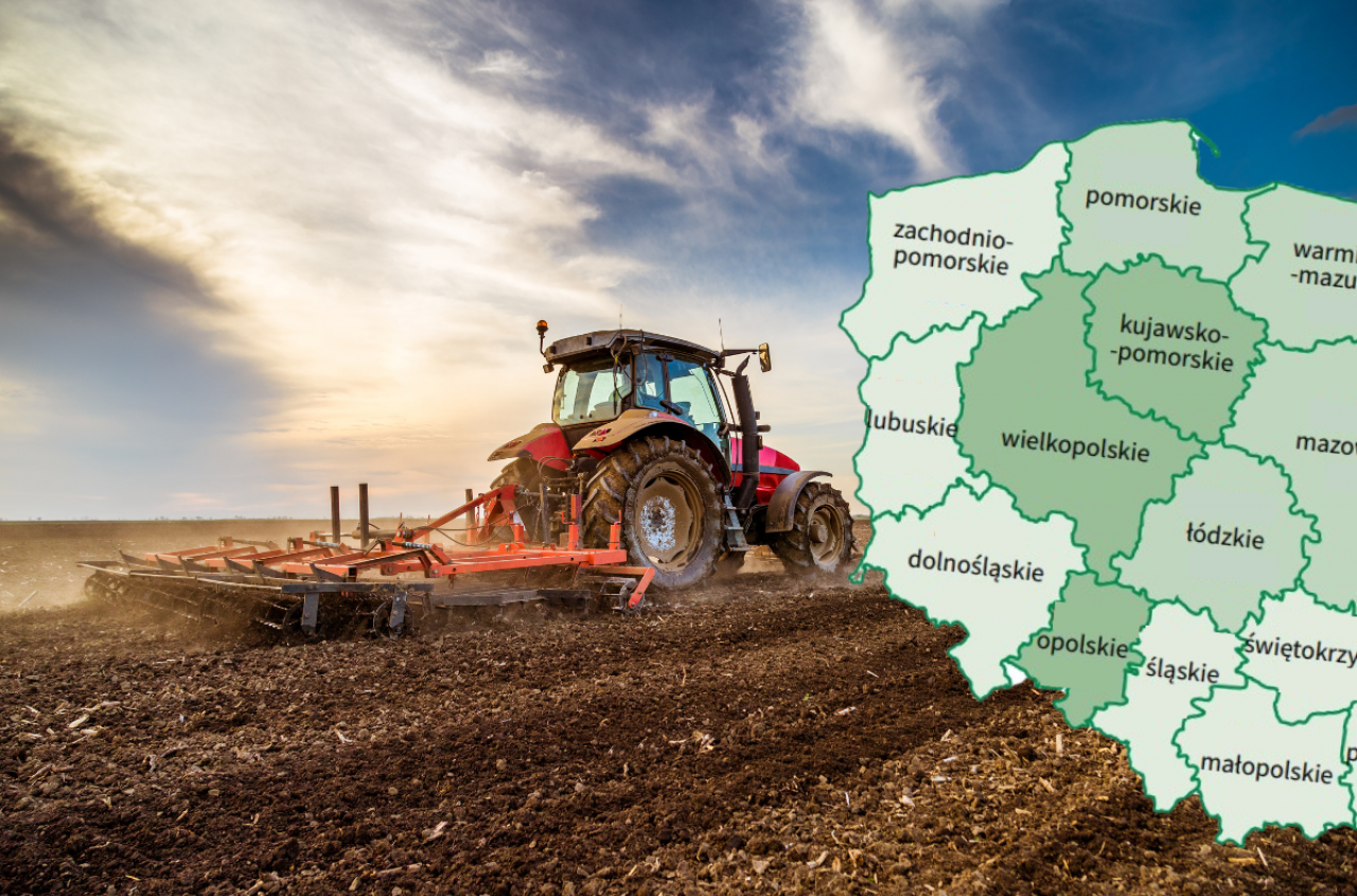 Ile kosztuje hektar ziemi rolnej w każdym regionie Polski? [MAPA] - HaloWies
