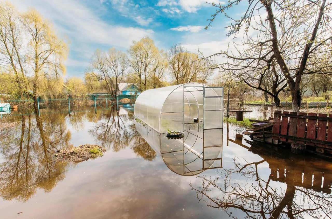 Twój ogród został zalany? Sprawdź, jak go odratować! - HaloWies